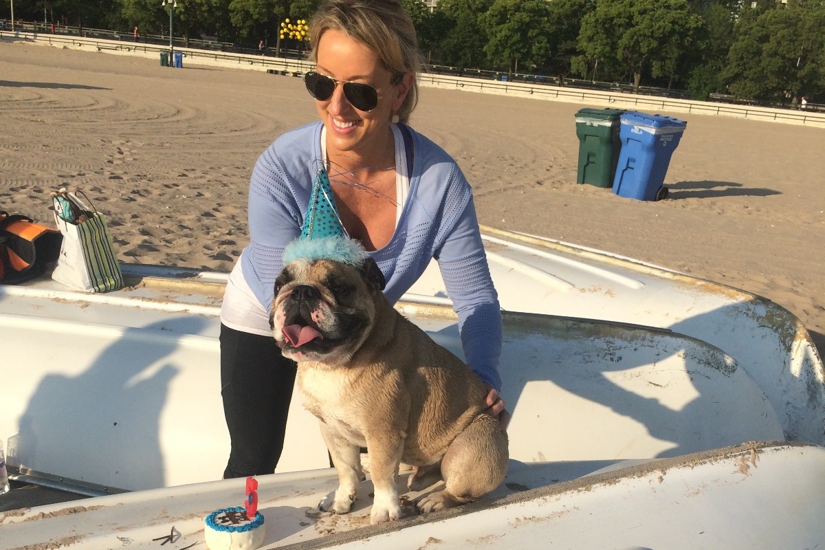 Change a Pet’s Life With These 15 Pet Fundraising Ideas