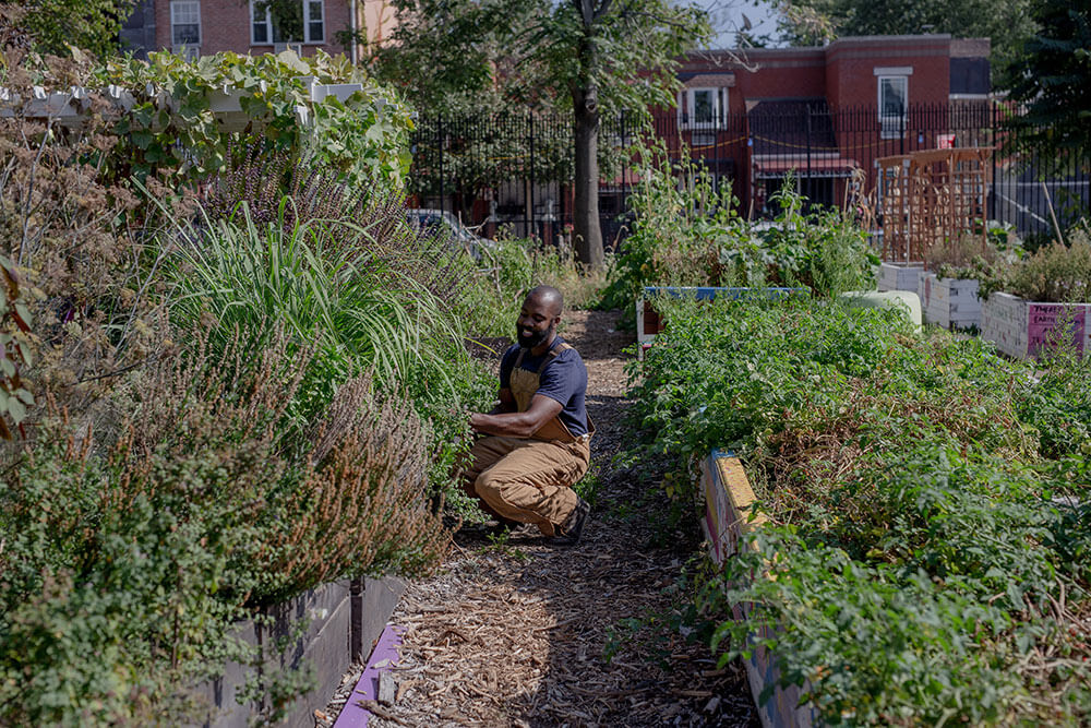 Support BIPOC Farmers in Your Community Today