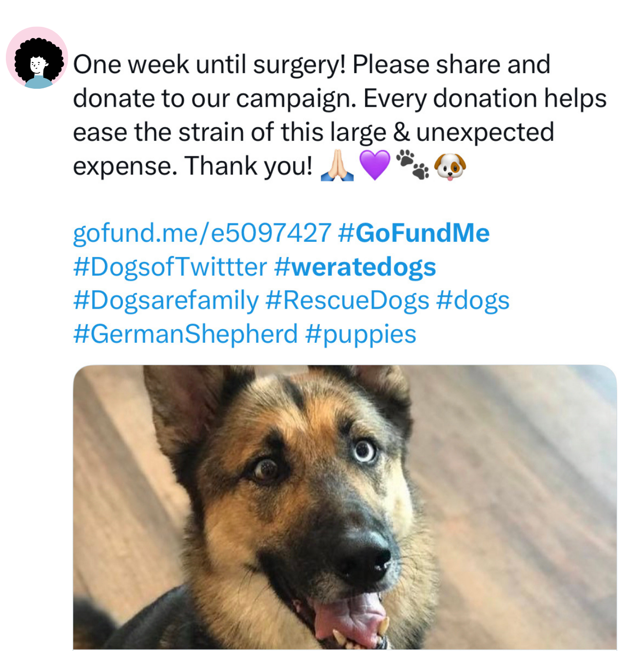 Top Social Media Fundraising Tips to Help Raise Money