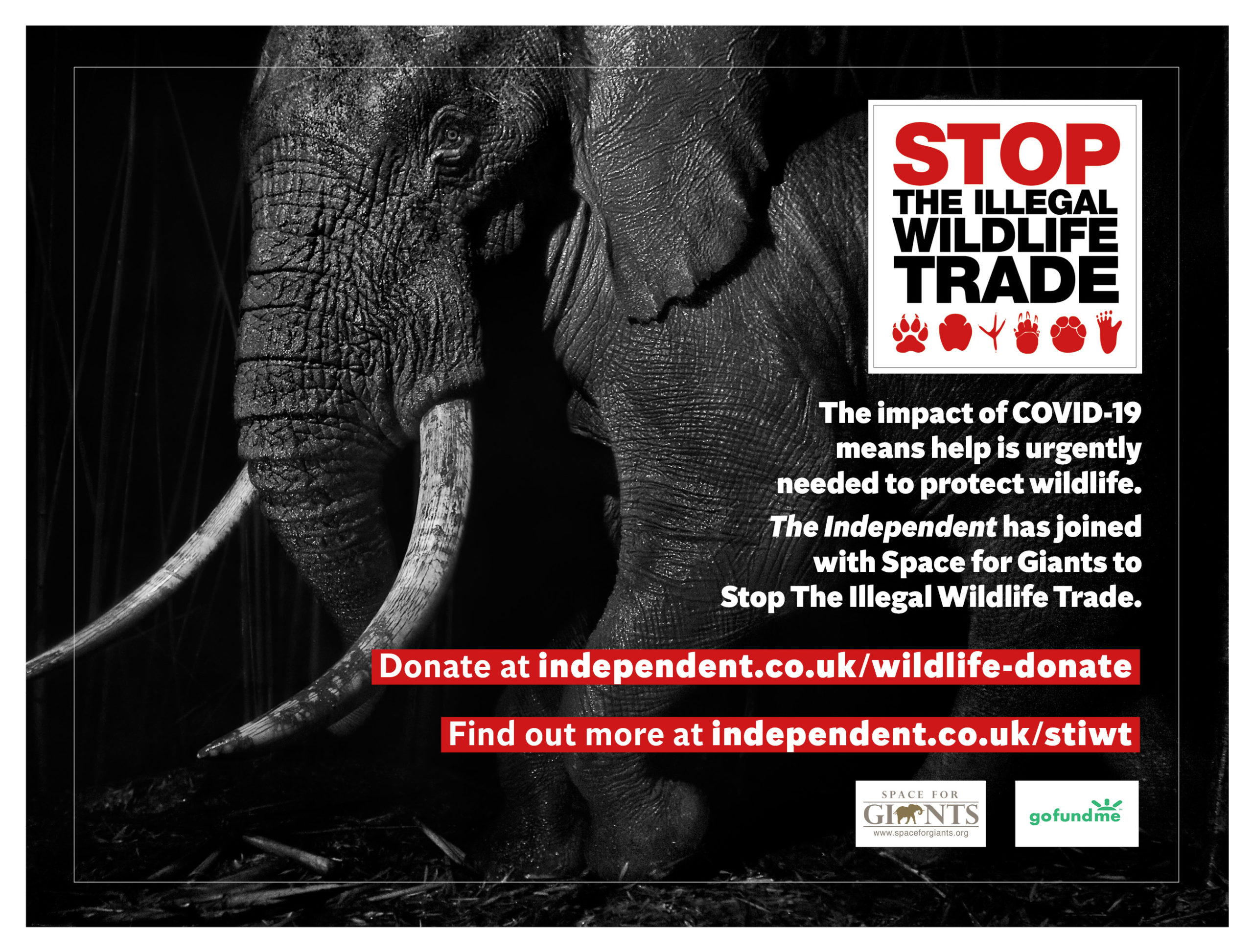 Stop the Illegal Wildlife Trade